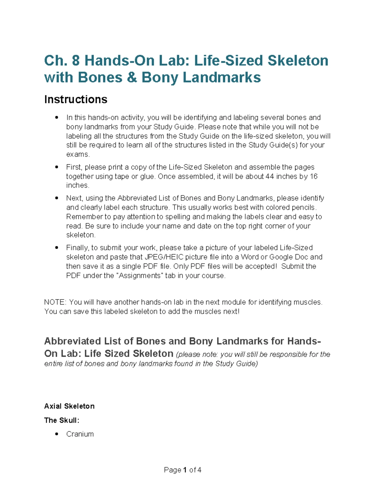 Chapter 16: Hands-On Lab Cow Eye Dissection Instructions & Photos - Studocu
