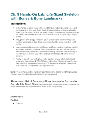 Ch 11 Hands On Lab - Muscle Tissue Histology - Ch. 11 Hands-On Lab ...