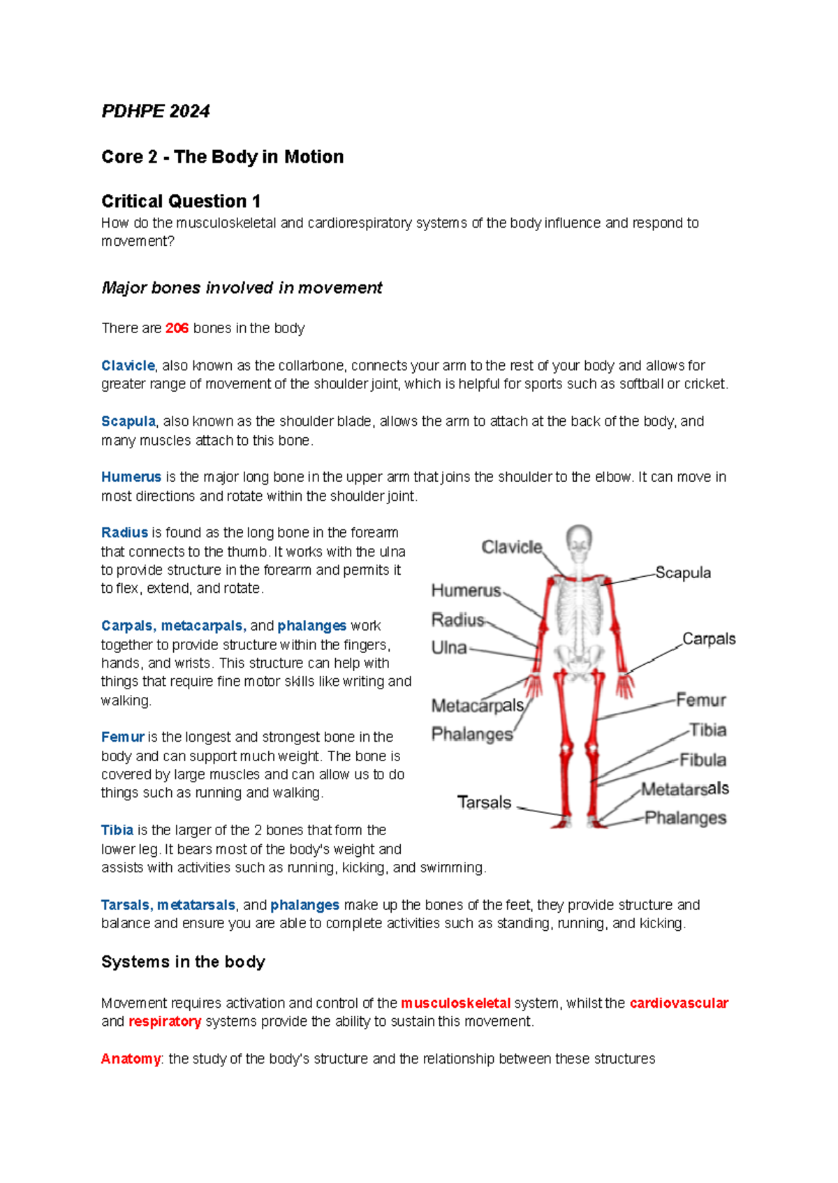 PDHPE 2024 - Yr 11 Final Exam Notes on Body Movement Systems - Studocu