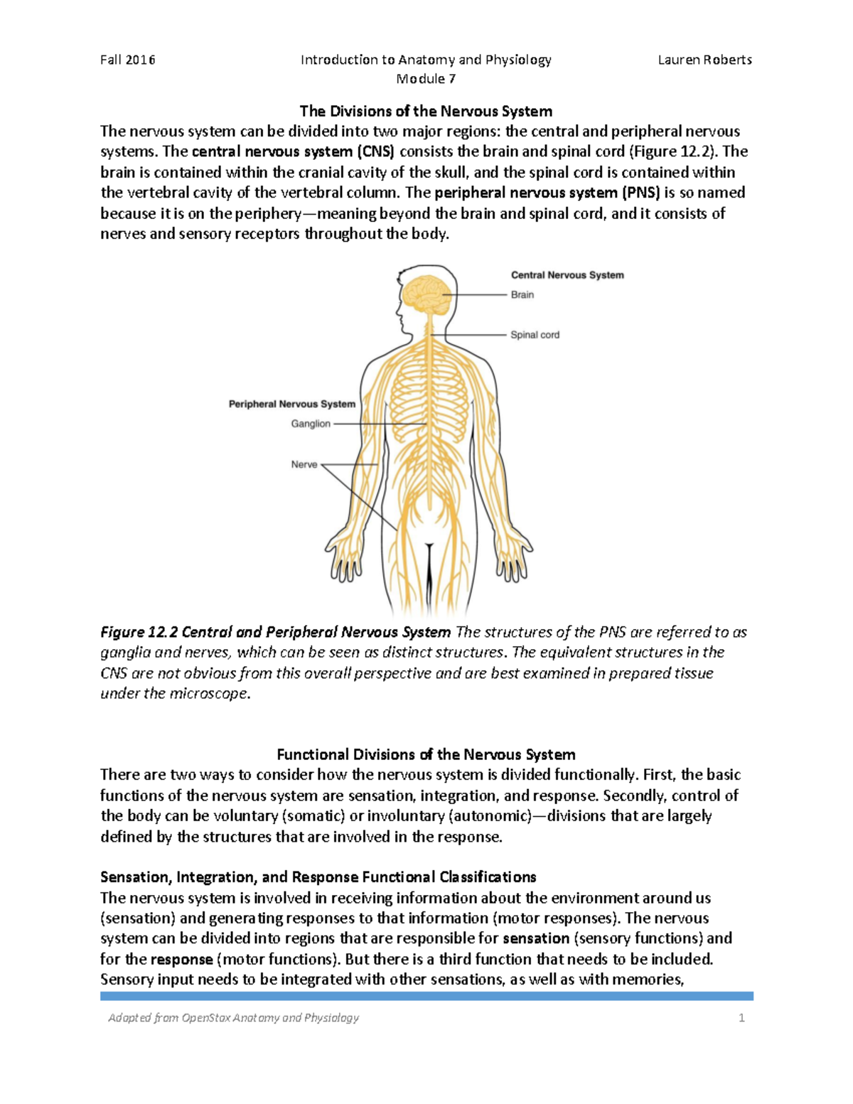 Anatomy and Physiology 1: Module 7 - Overview of the Nervous System ...