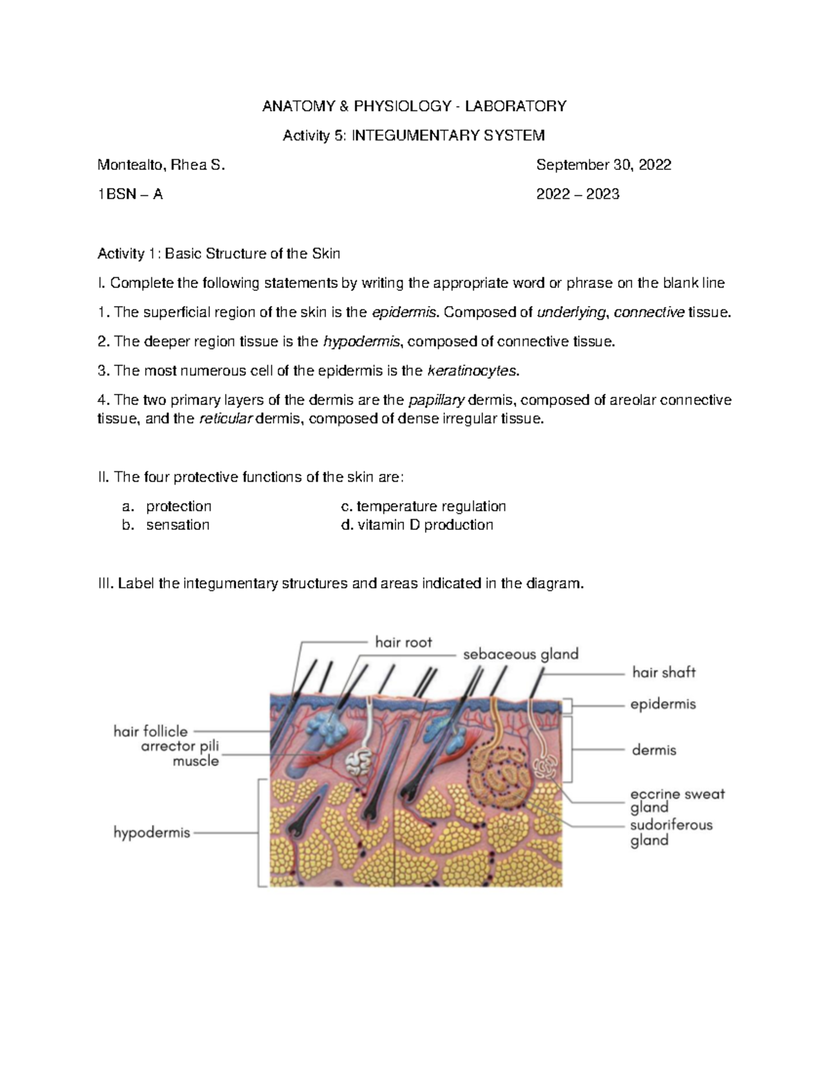 Activity 5 - Integumentary System Lab Notes (1BSN-A 2022-2023) - Studocu