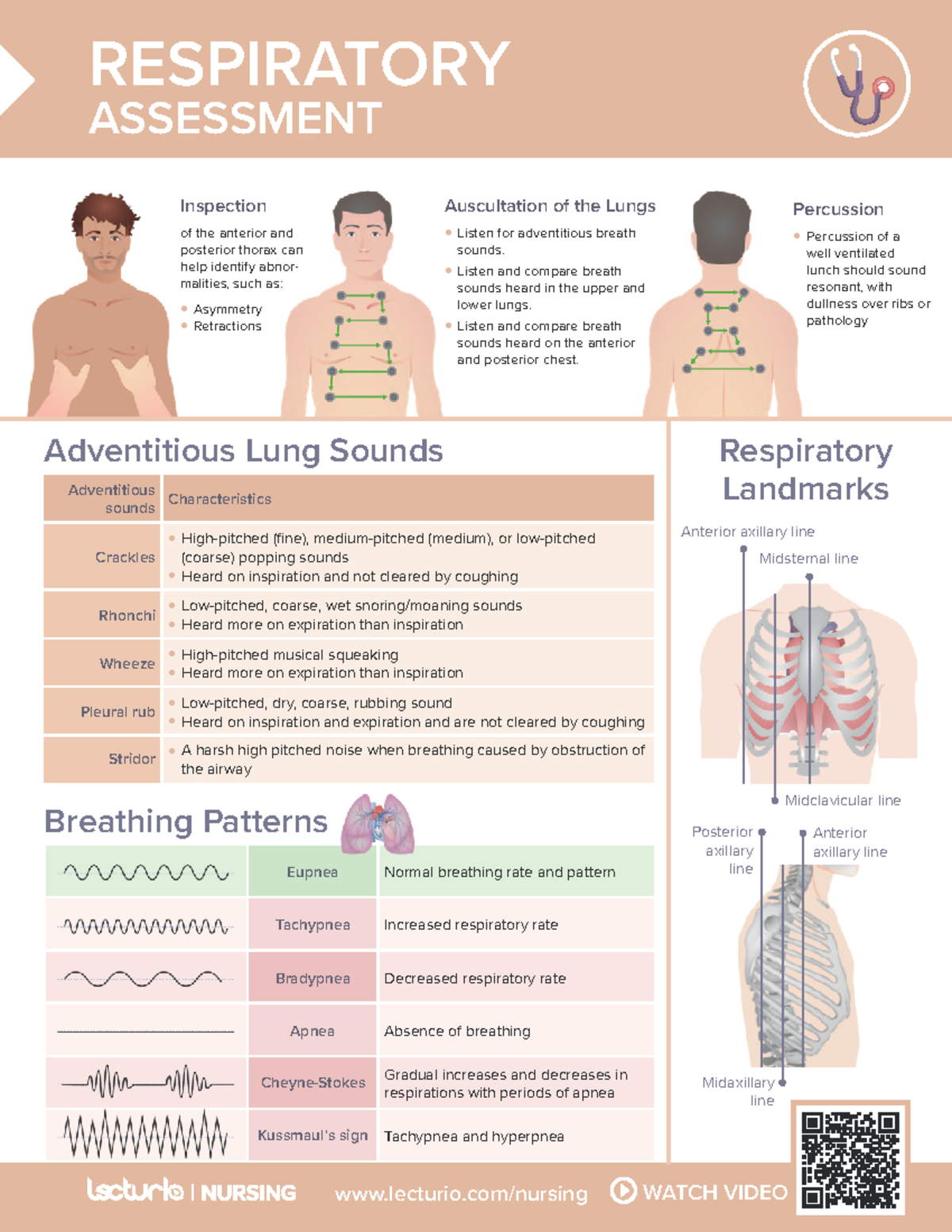 Respiratory-Assessment - Eupnea Normal breathing rate and pattern Tachypnea Increased ...