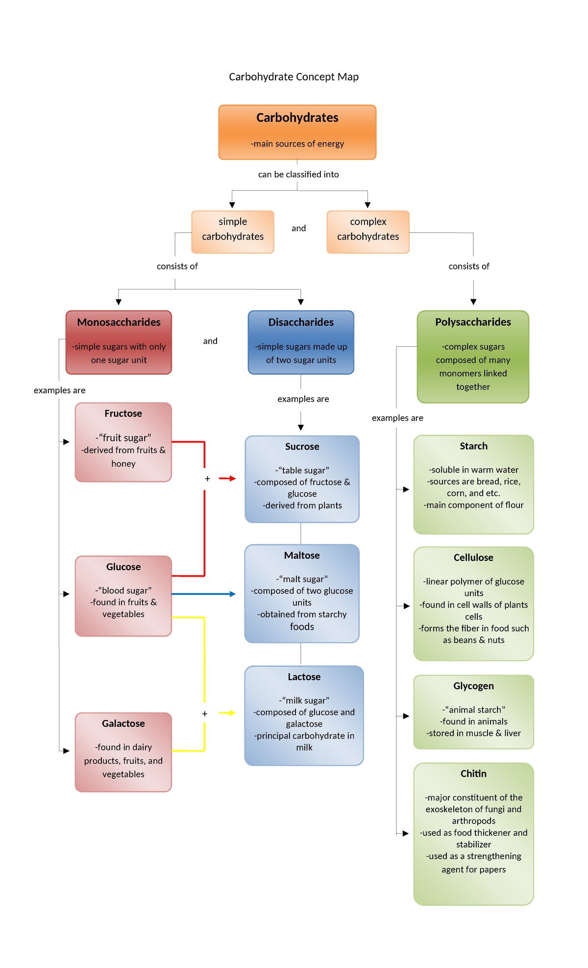 Carbohydrate Structure & Functions Concept Map Overview - Studocu