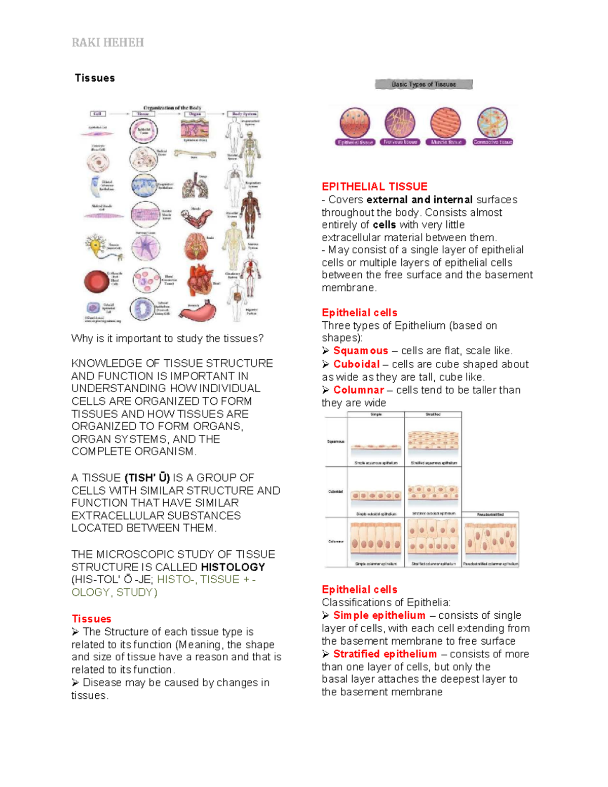 RAKI HEHEH Tissues - Epithelial Tissue Overview and Classifications ...
