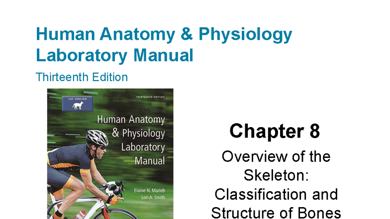 Human Anatomy & Physiology Lab Manual: Skeleton Overview (Chapter 8 ...