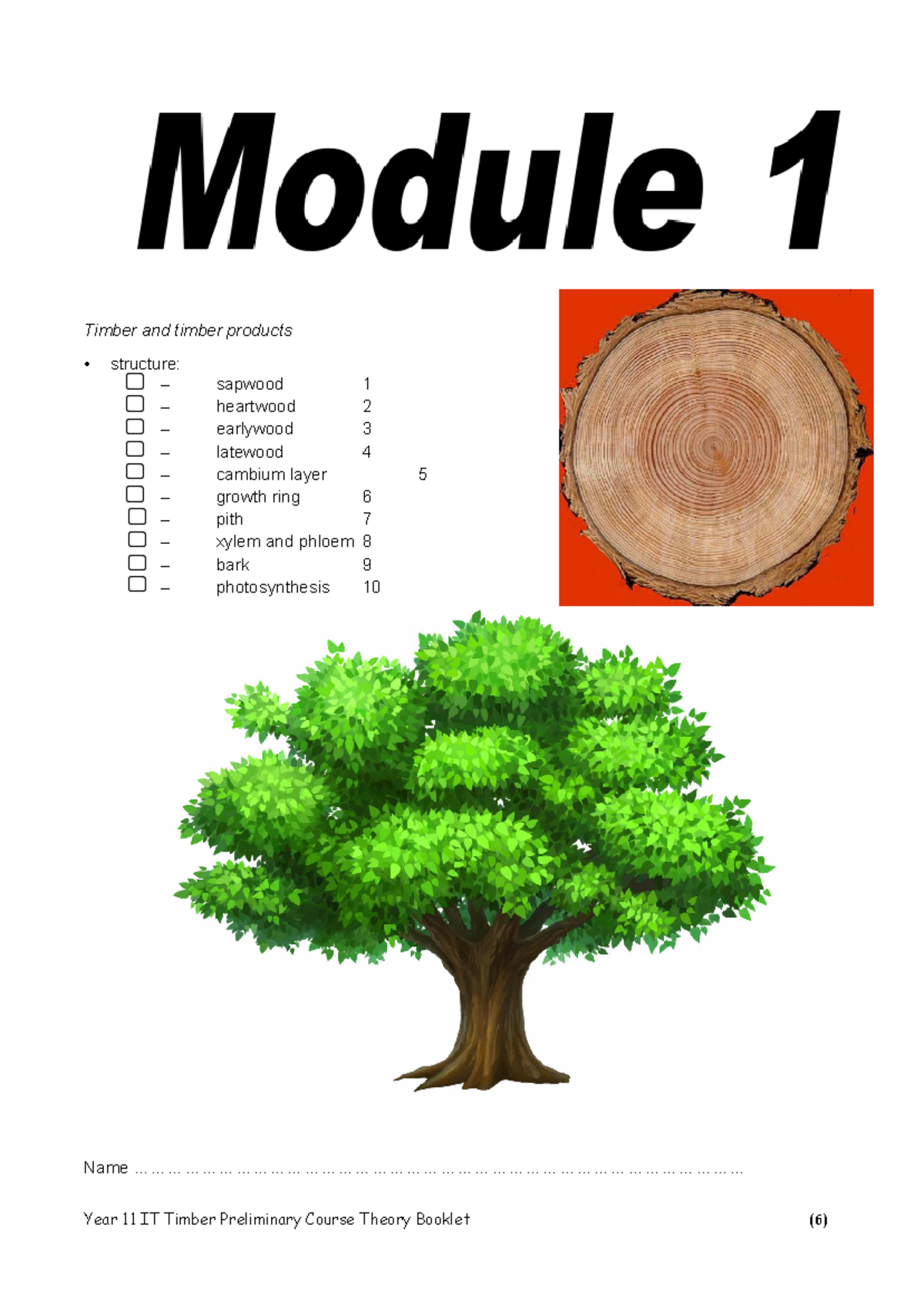 Module 1 2024 - Industrial technology notes - Timber and timber ...