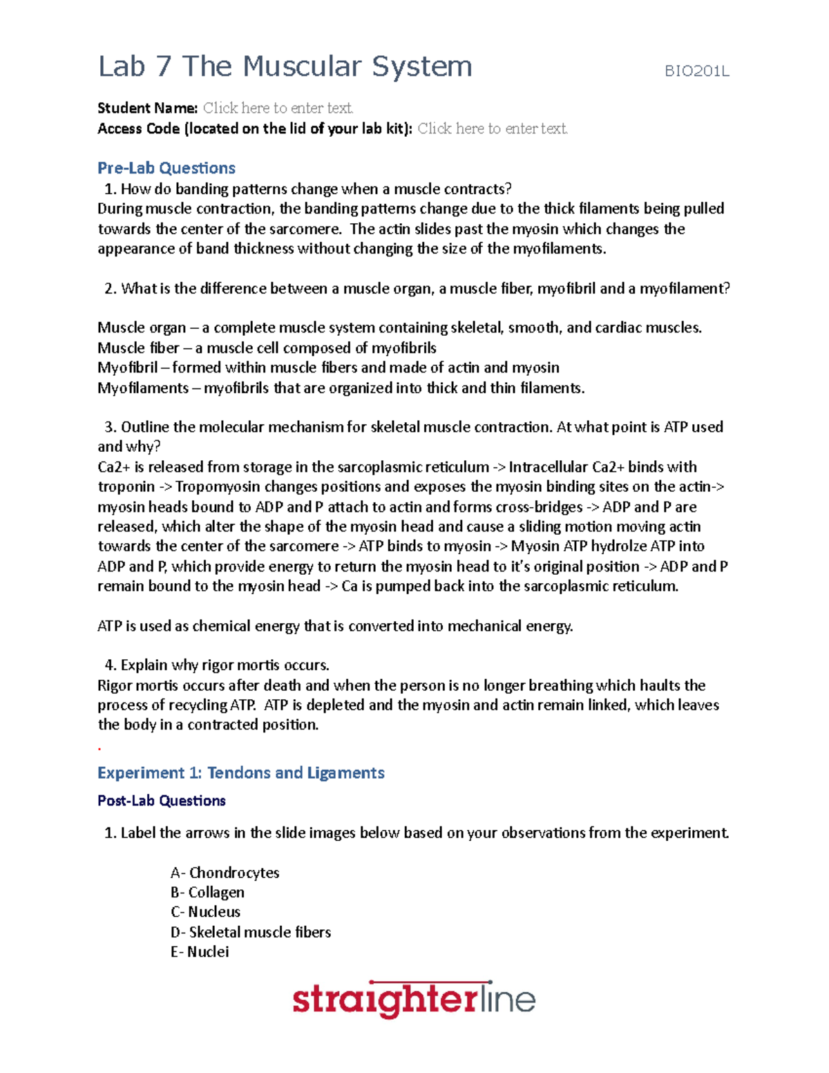 BIO201L+Lab+7+Upload+Document studocu - Student Name: Click here to ...