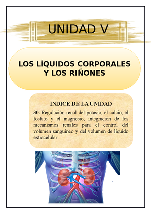 Platos Típicos DE Oruro - PLATOS TÍPICOS DE ORURO, BOLIVIA, QUE DEBES ...