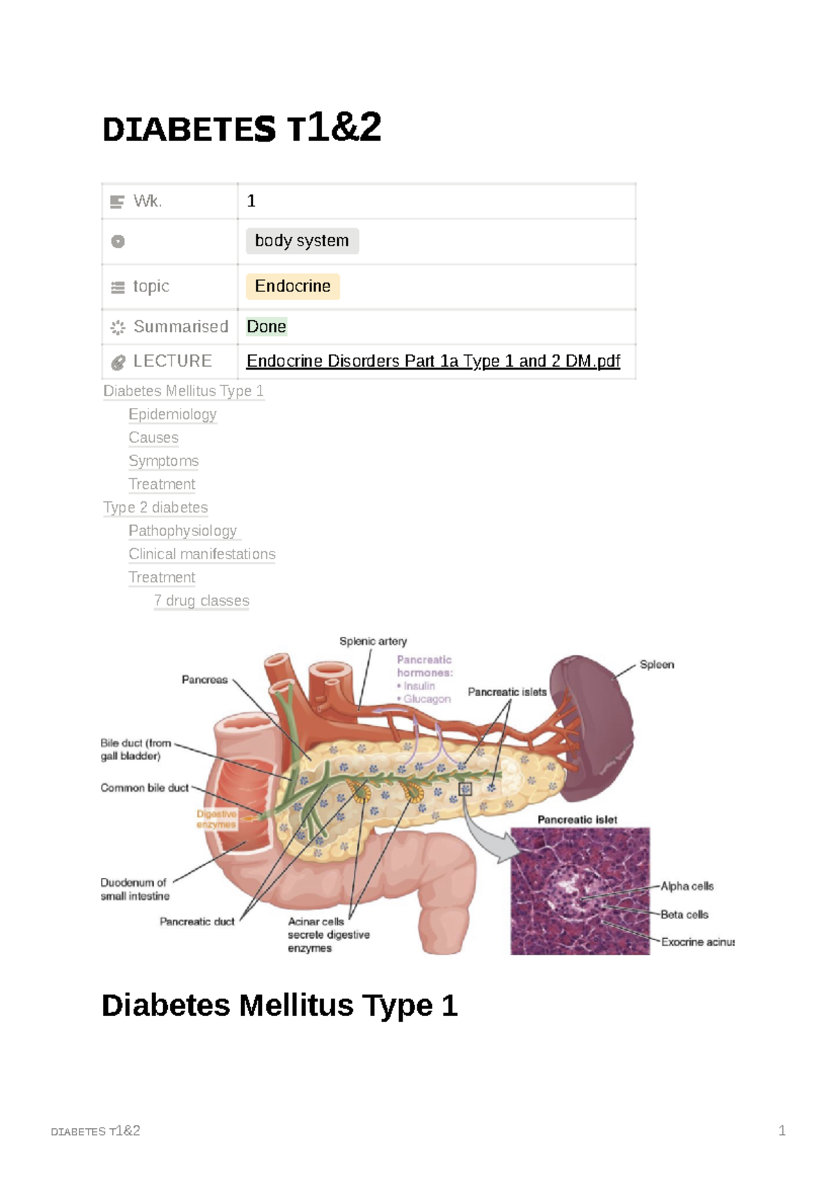 Diabetes Mellitus T1 & T2 Notes - Overview of Lecture Content - Studocu