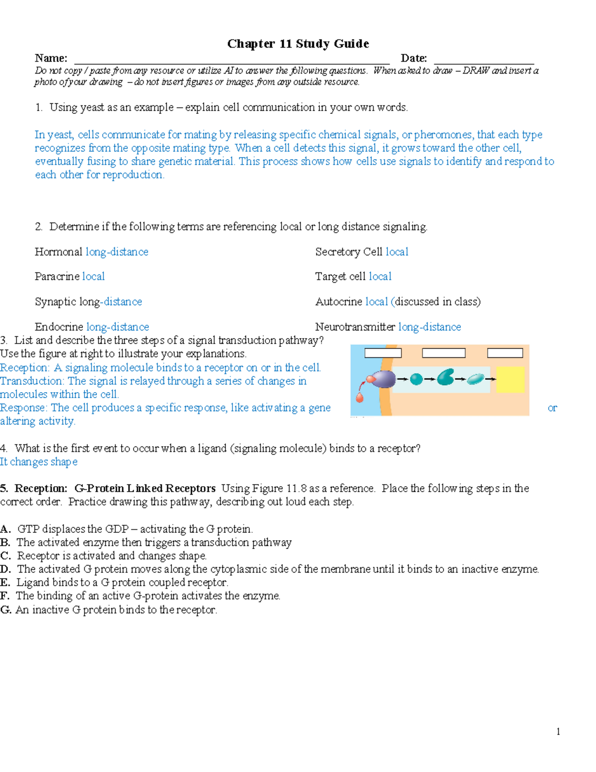 Chapter 11 Cell Signaling Study Guide - Chapter 11 Study Guide Name: - Studocu