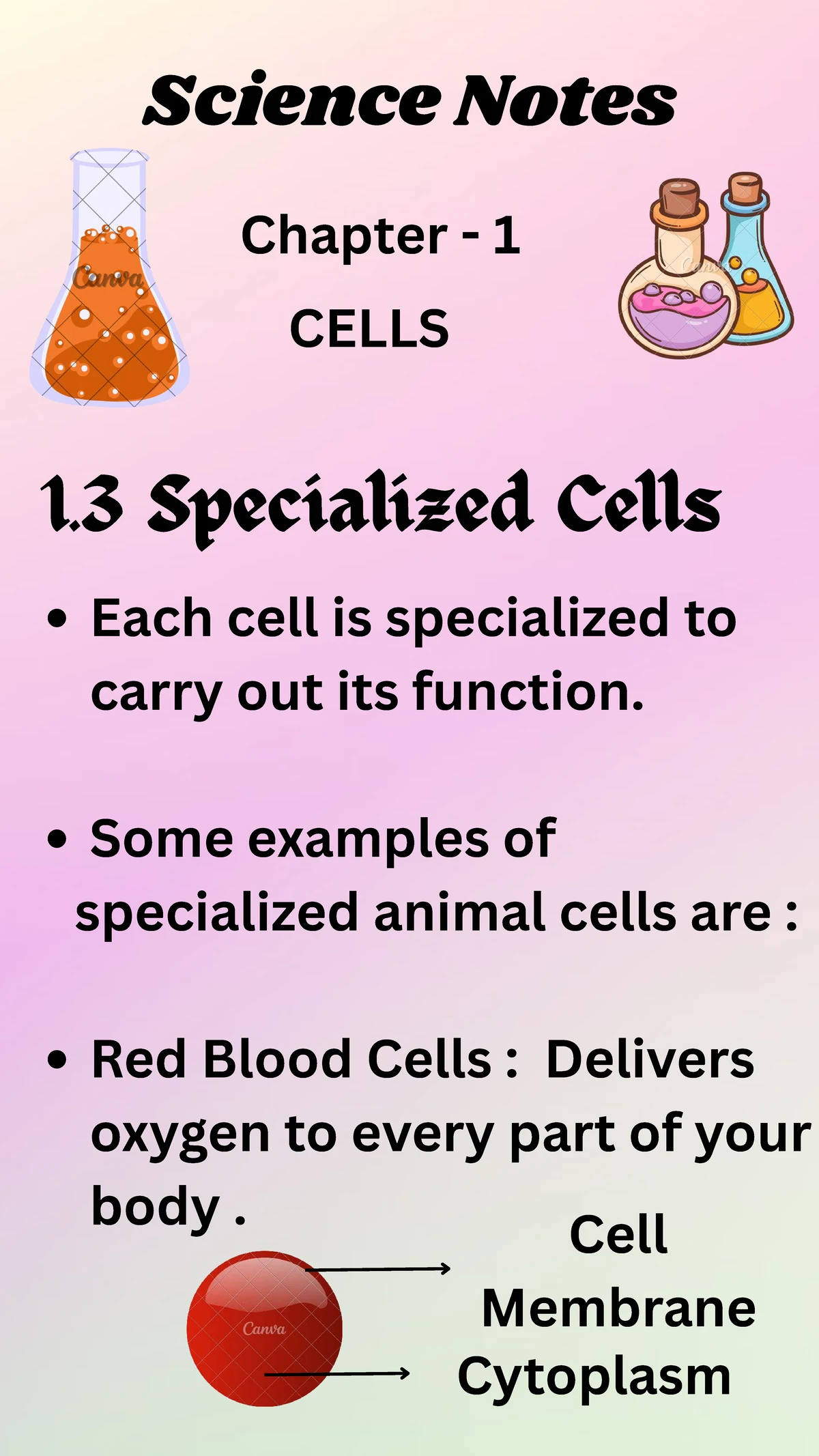 1.2 Animal Cells - Biology SL - Science Notes Chapter - 1 CELLS 1 .2 ...