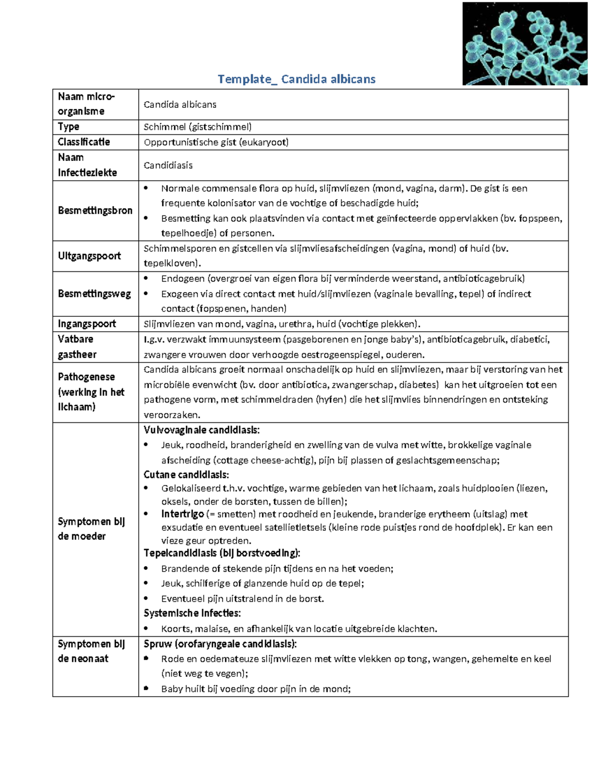 Template: Candida albicans - Microbiologie en Infectieziekten - Studocu