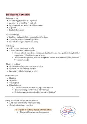 Lab 3 Flow chart-2 - Lab 3 flow chart - Flow Chart: Collect two Pasteur ...