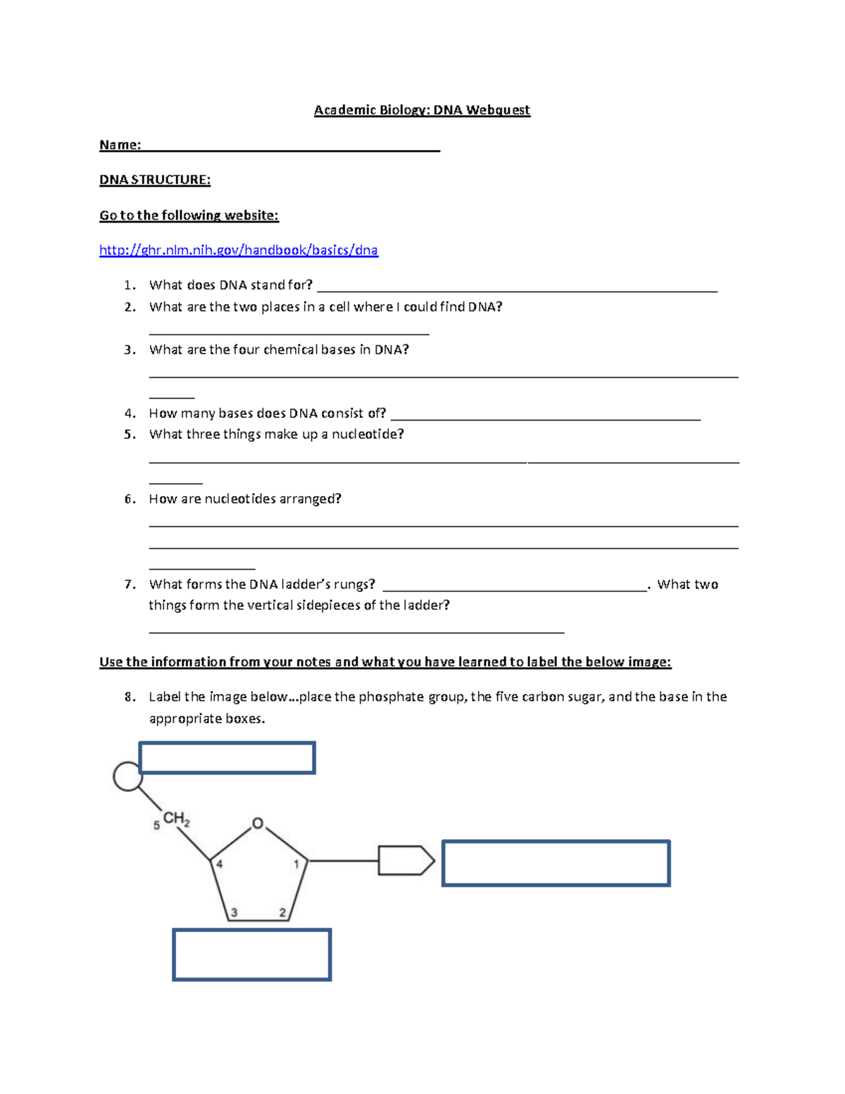 Edgar Soto - Academic Biology DNA webquest - Academic Biology: DNA ...