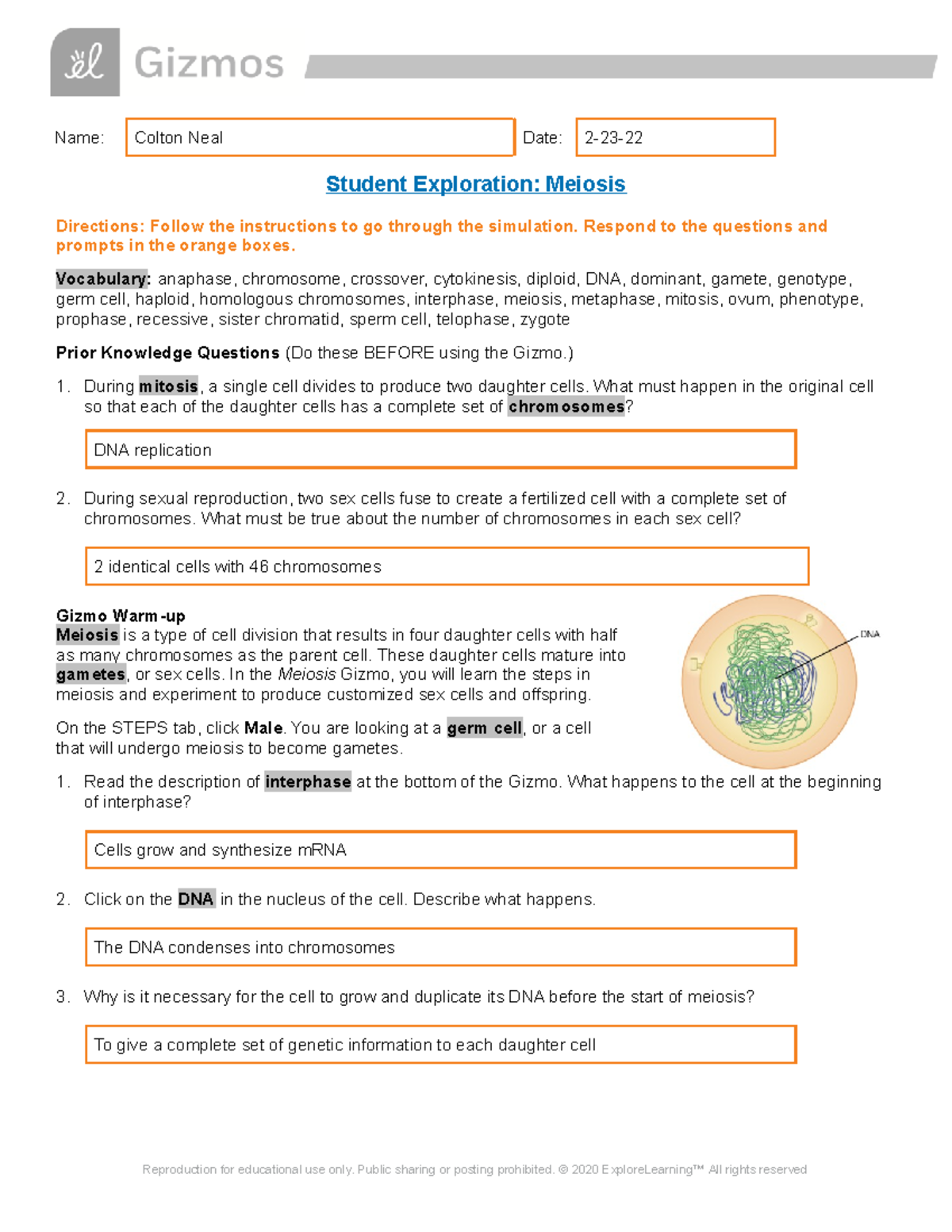 Colton Neal - Meiosis Gizmo Part 1 - Name: Colton Neal Date: 2-23 ...