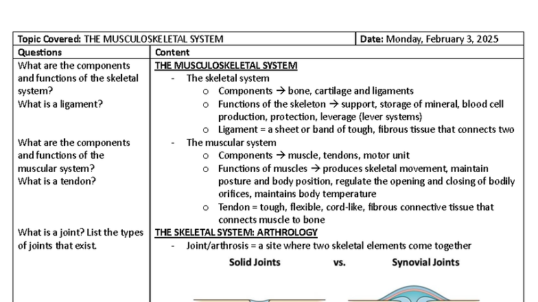 MSK 101: Overview of the Musculoskeletal System and Functions - Studocu