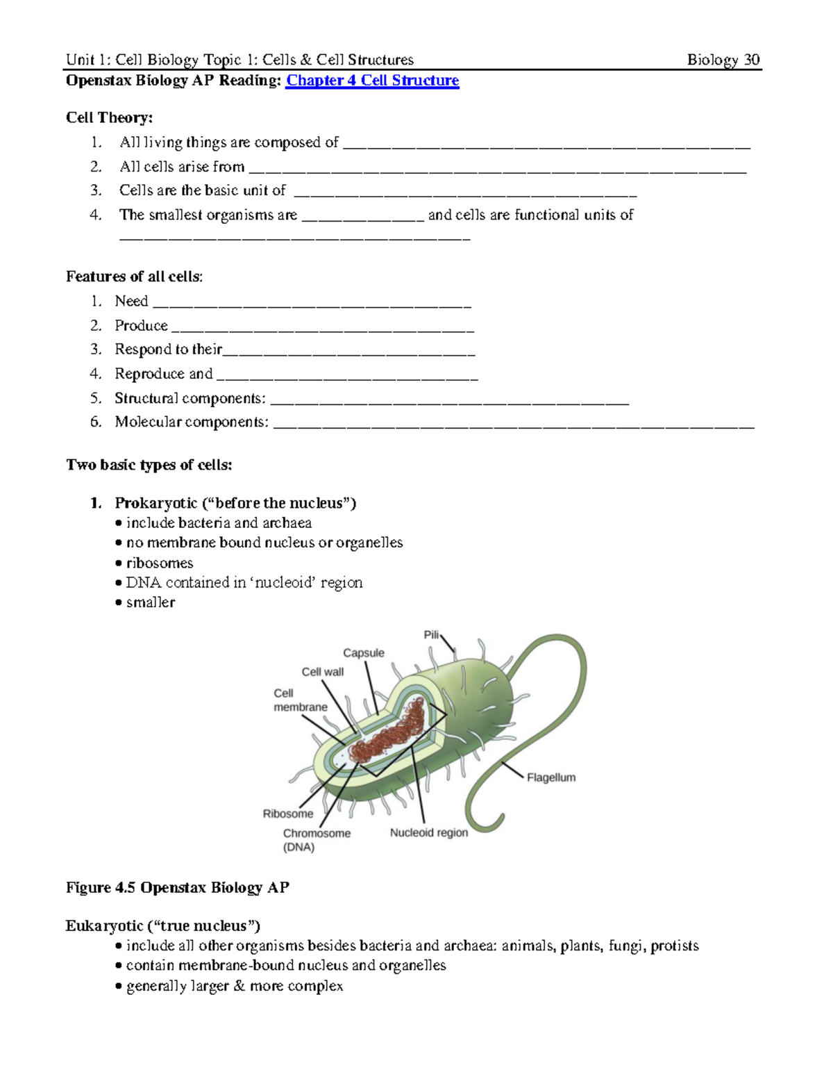 1.1 Cells and Cell Structures Notes - Unit 1: Cell Biology Topic 1 ...
