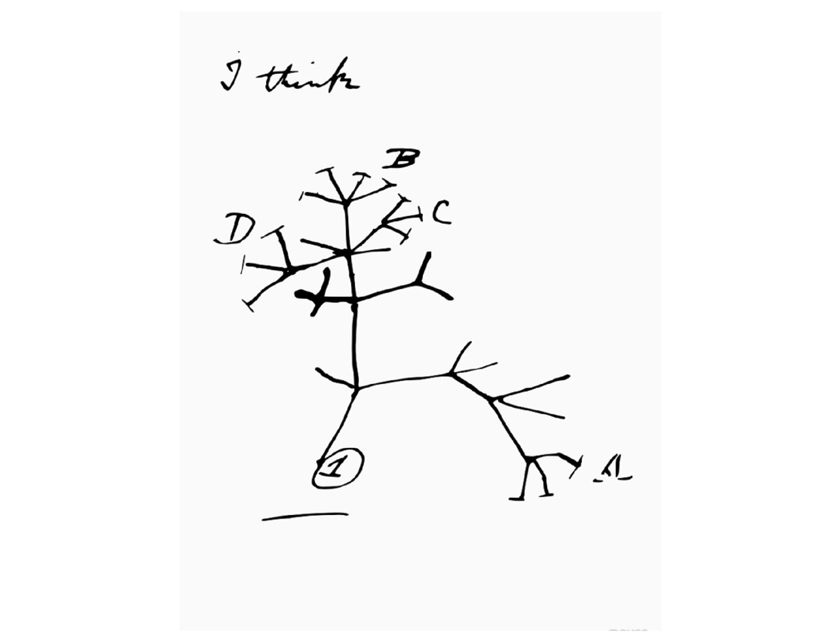 Lecture Notes: Evolutionary Origins of Life on Earth (Course Code: 4.0 ...