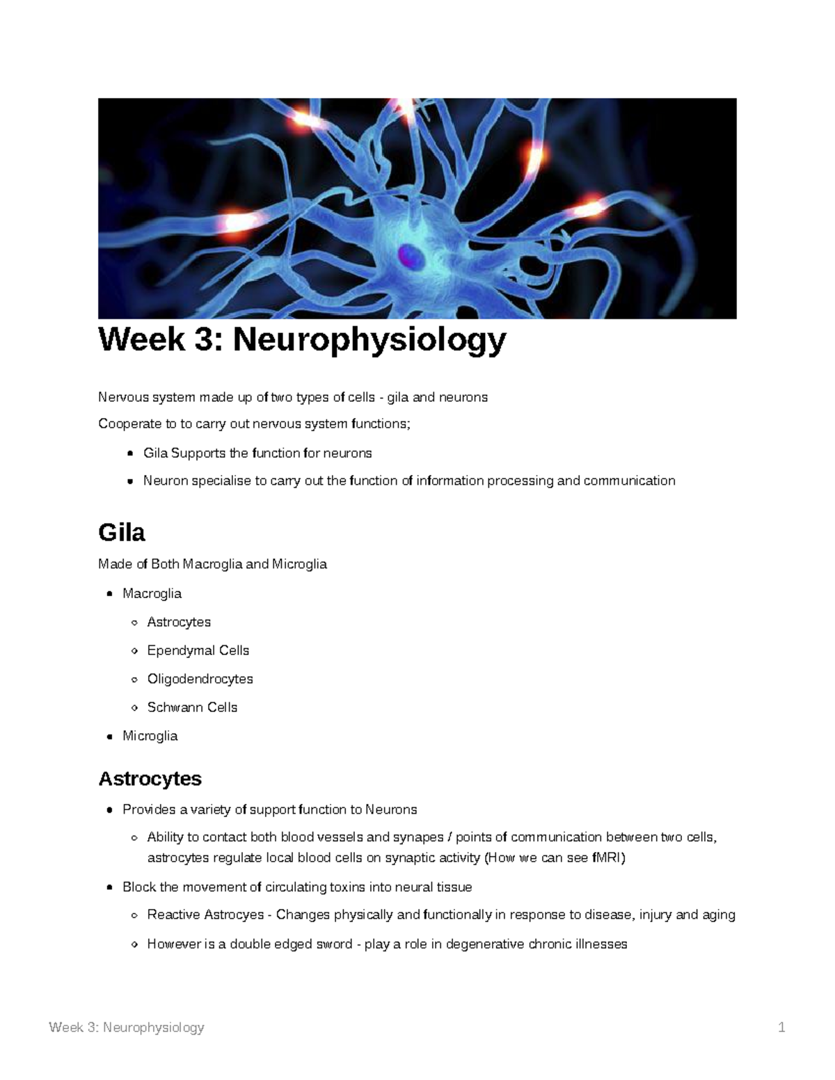 Week 3 Neurophysiology a49016 b9aed649288 e031e0a16d5a3c3 - Week 3: Neurophysiology Nervous ...