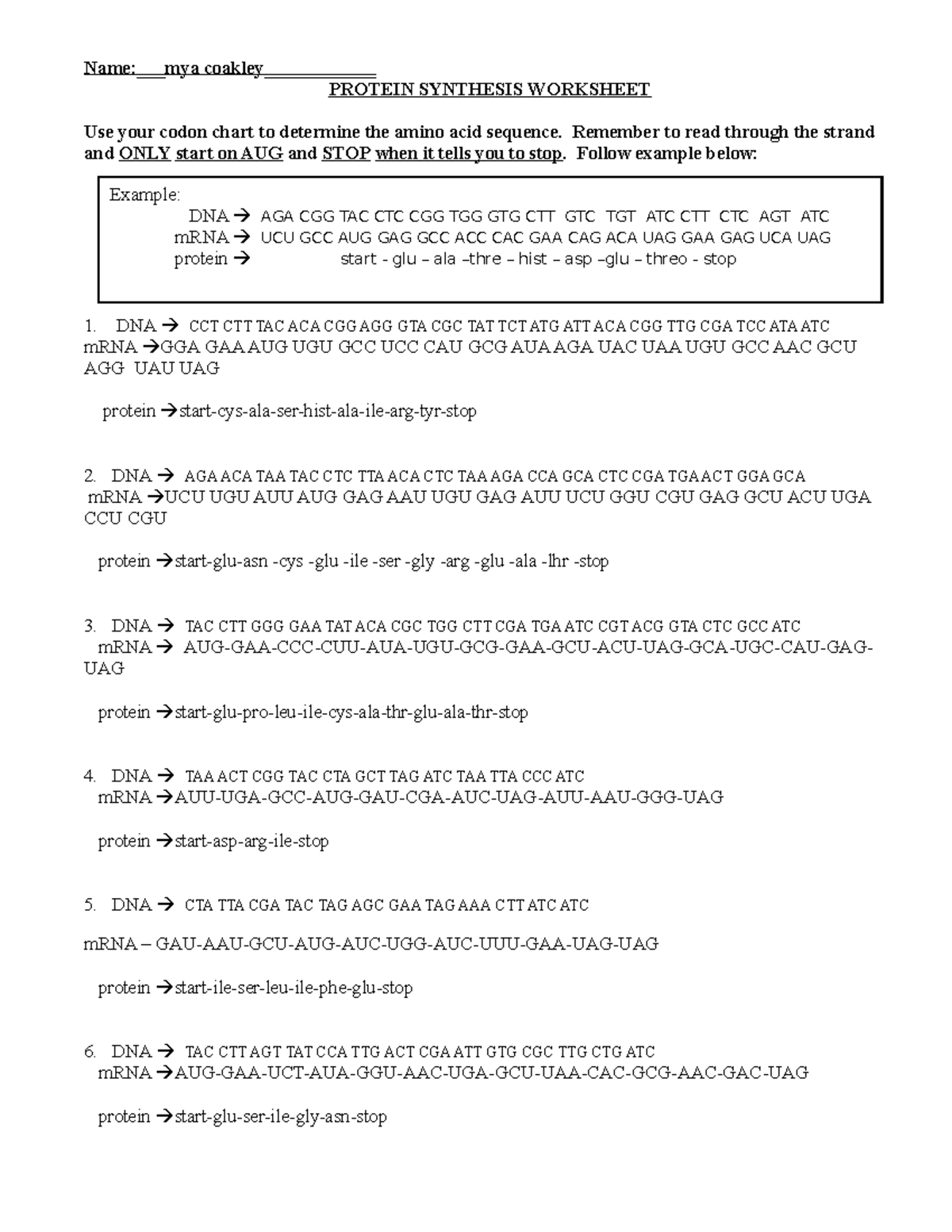Protein Synthesis Worksheet for Codon Chart Exercises - Studocu