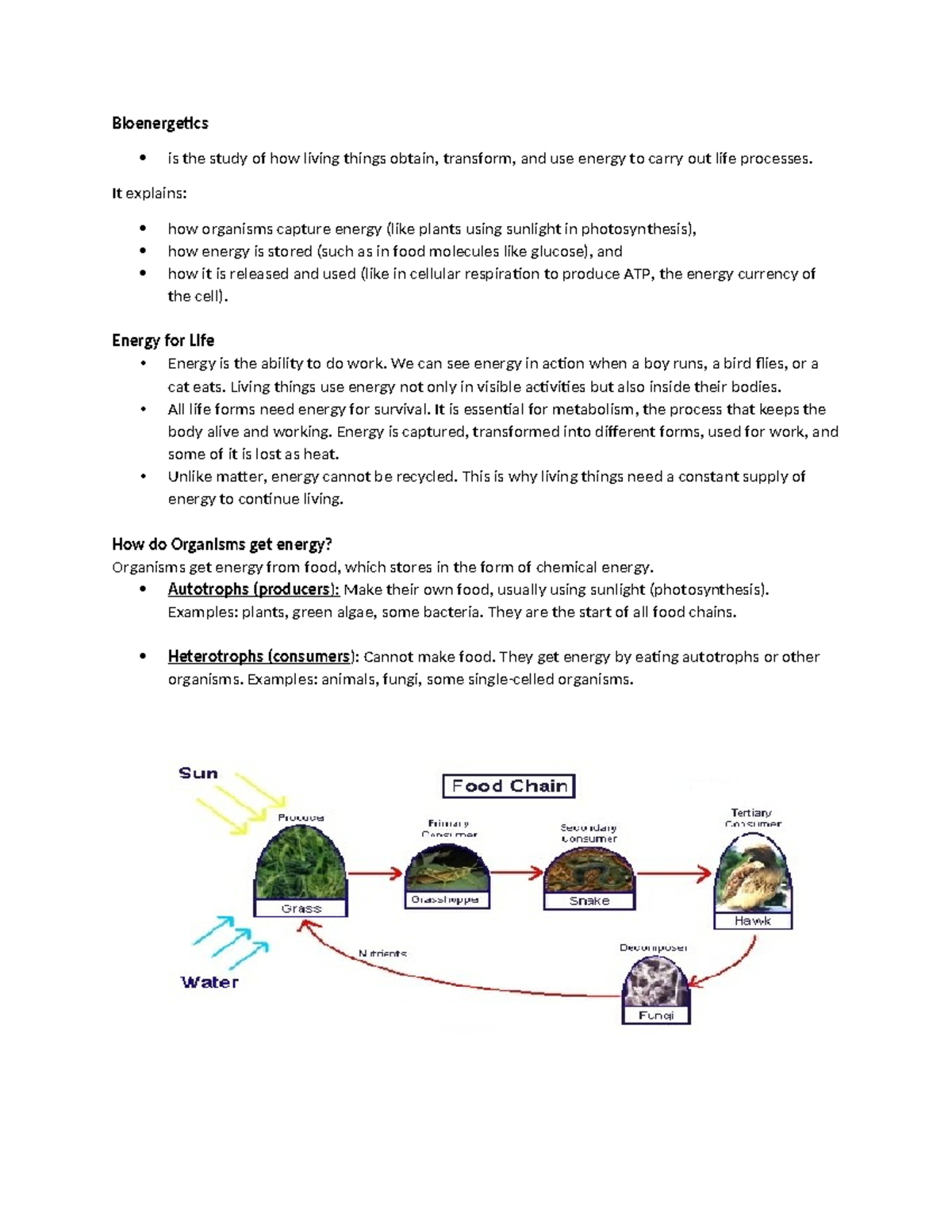 Bioenergetics Module: Energy Transformation in Living Organisms - Studocu