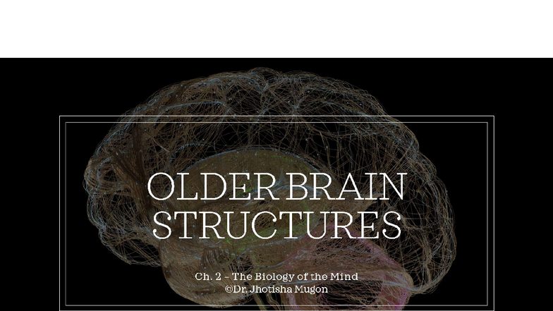 Brain Structures and Functions: Ch. 2 - The Biology of the Mind - Studocu