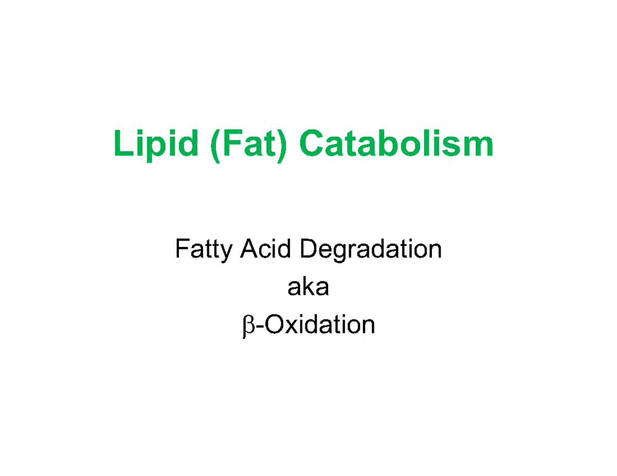 Lipid Catabolism & Fatty Acid Degradation: Lecture 3 (Biochem 101 ...