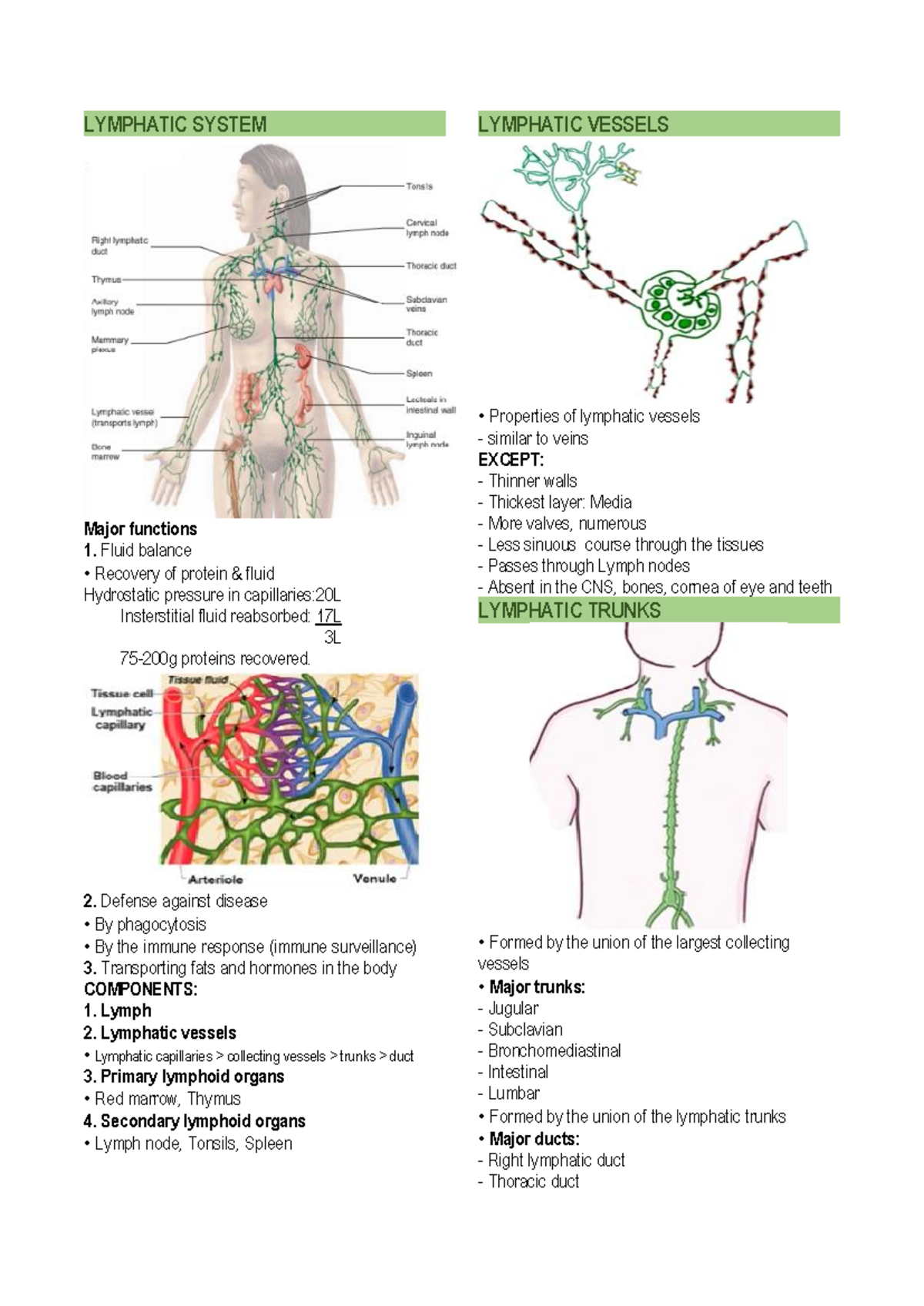 Lymphatic System Final Exam Study Guide: Key Functions & Components ...