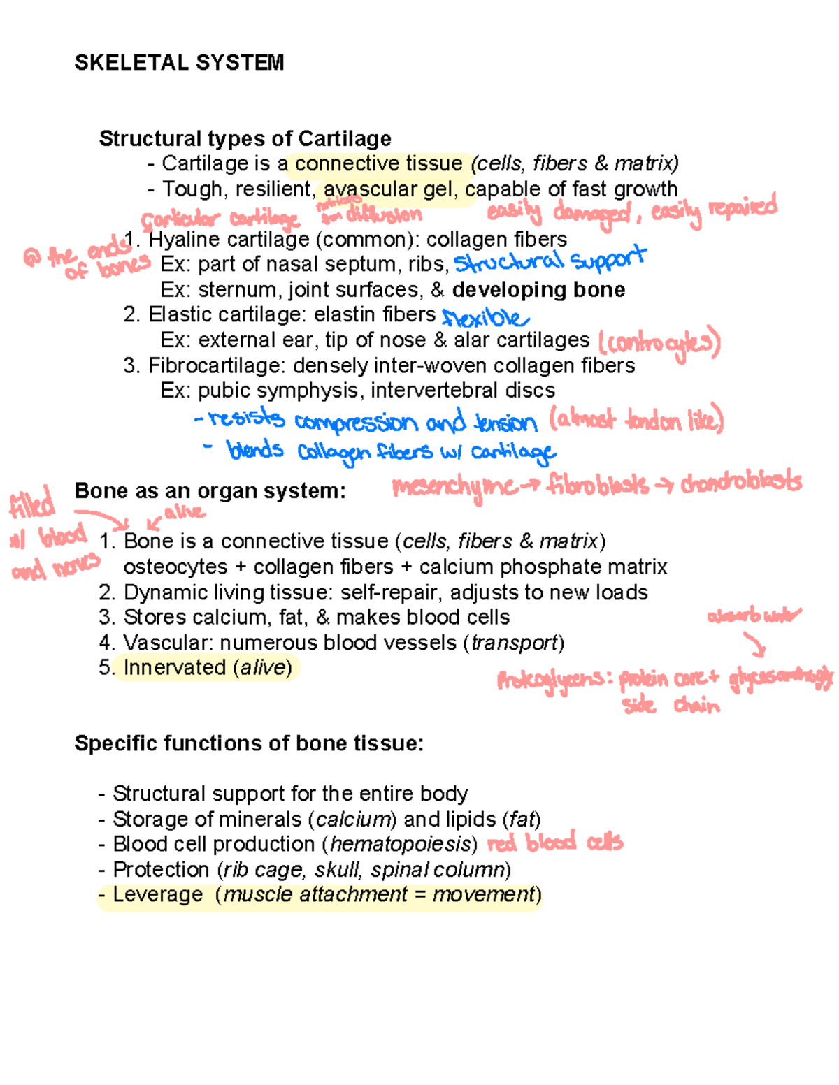 SKELETAL SYSTEM: Overview of Structure, Function, and Development - Studocu