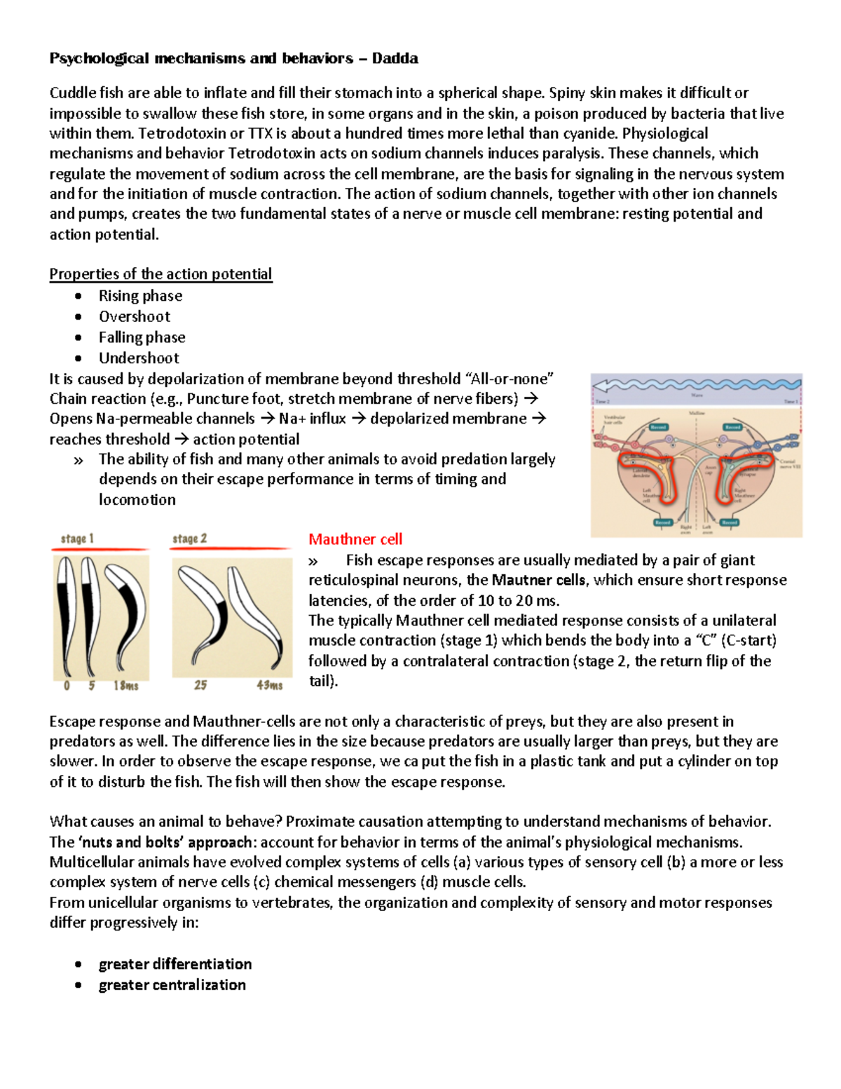 Animal Psychology: Understanding Fish Behavior and Neural Mechanisms in ...