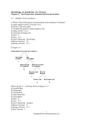 Lab practical 1 - Microbiology Lab Practical # This Lab Practical ...