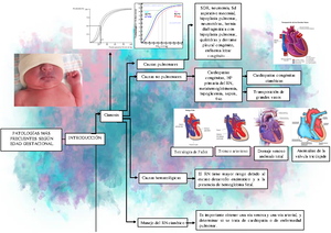 Jerarquía de las necesidades de Kalish - Jerarquía de las necesidades ...