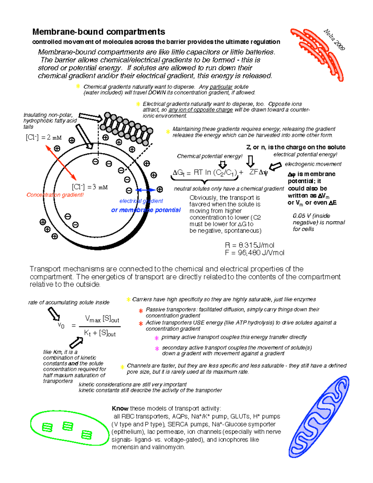 Membranecompartments - Membrane-bound compartments controlled movement ...