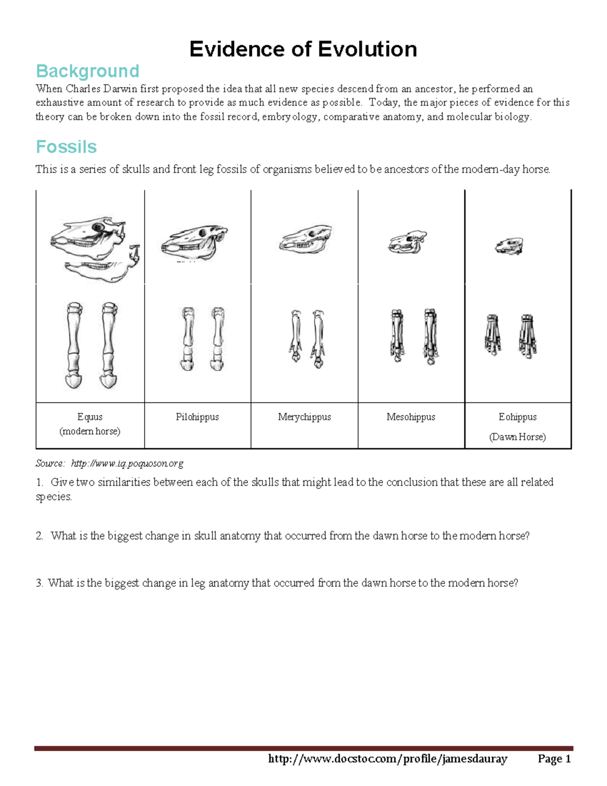 Worksheet: Evidence of Evolution (BIO 101) - Studocu