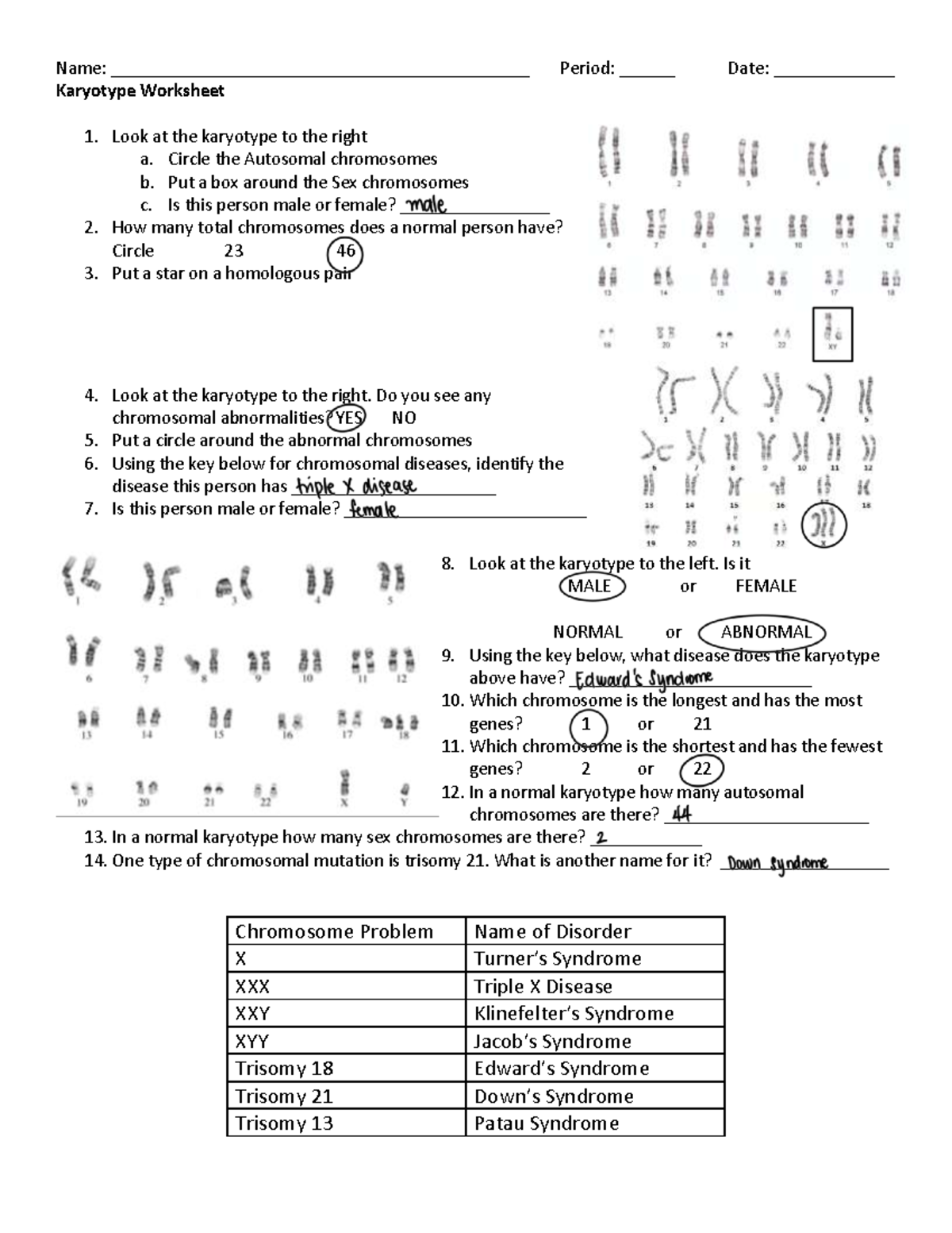 Karyotype worksheet 1 - Name: _____________________________________________ Period: ______ Date ...