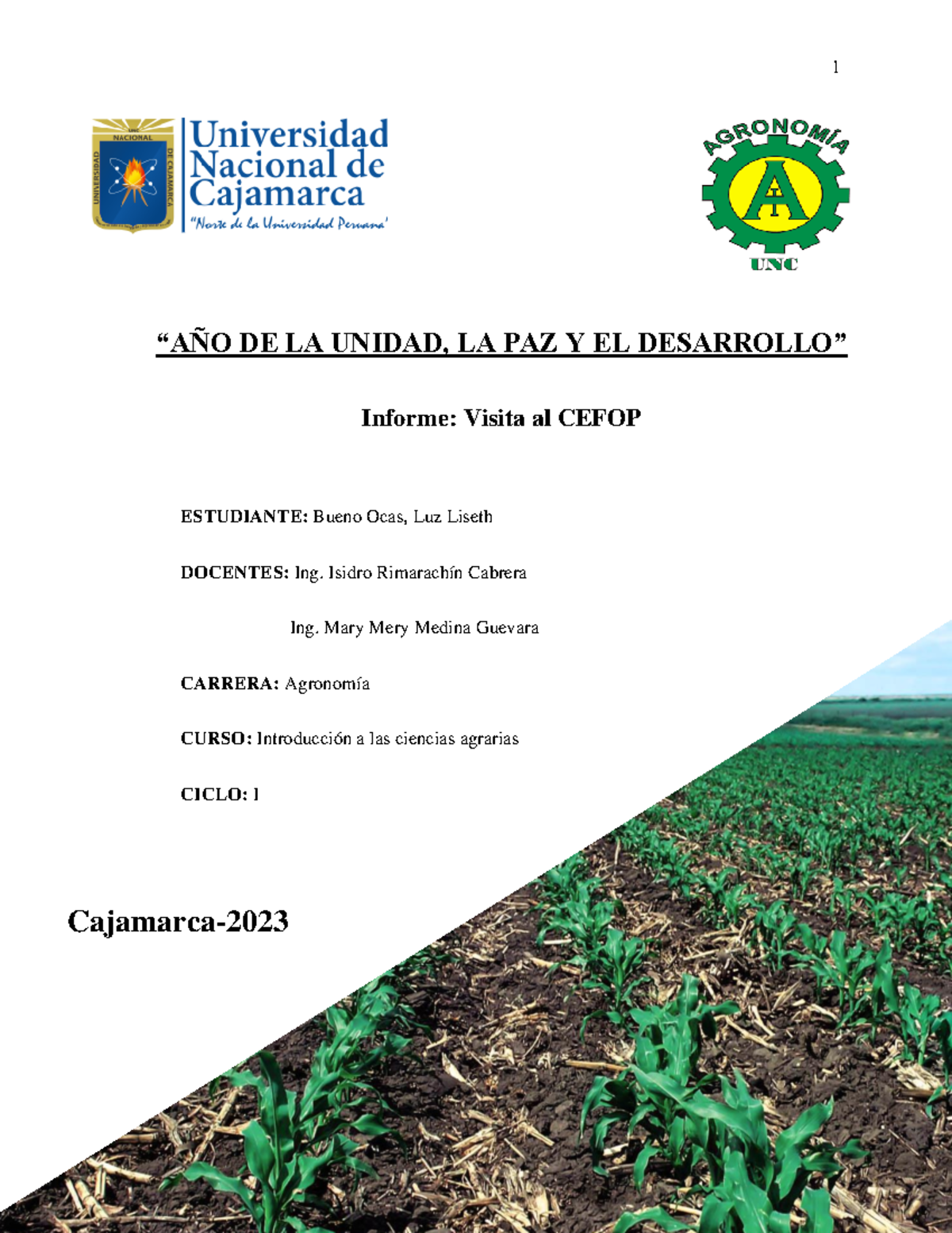 Visita Cefop - “AÑO DE LA UNIDAD, LA PAZ Y EL DESARROLLO” Informe ...