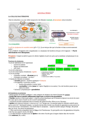 Chapitre 5 - les plasmides - Microbiologie 2 1 CHAPITRE 5 : Les ...