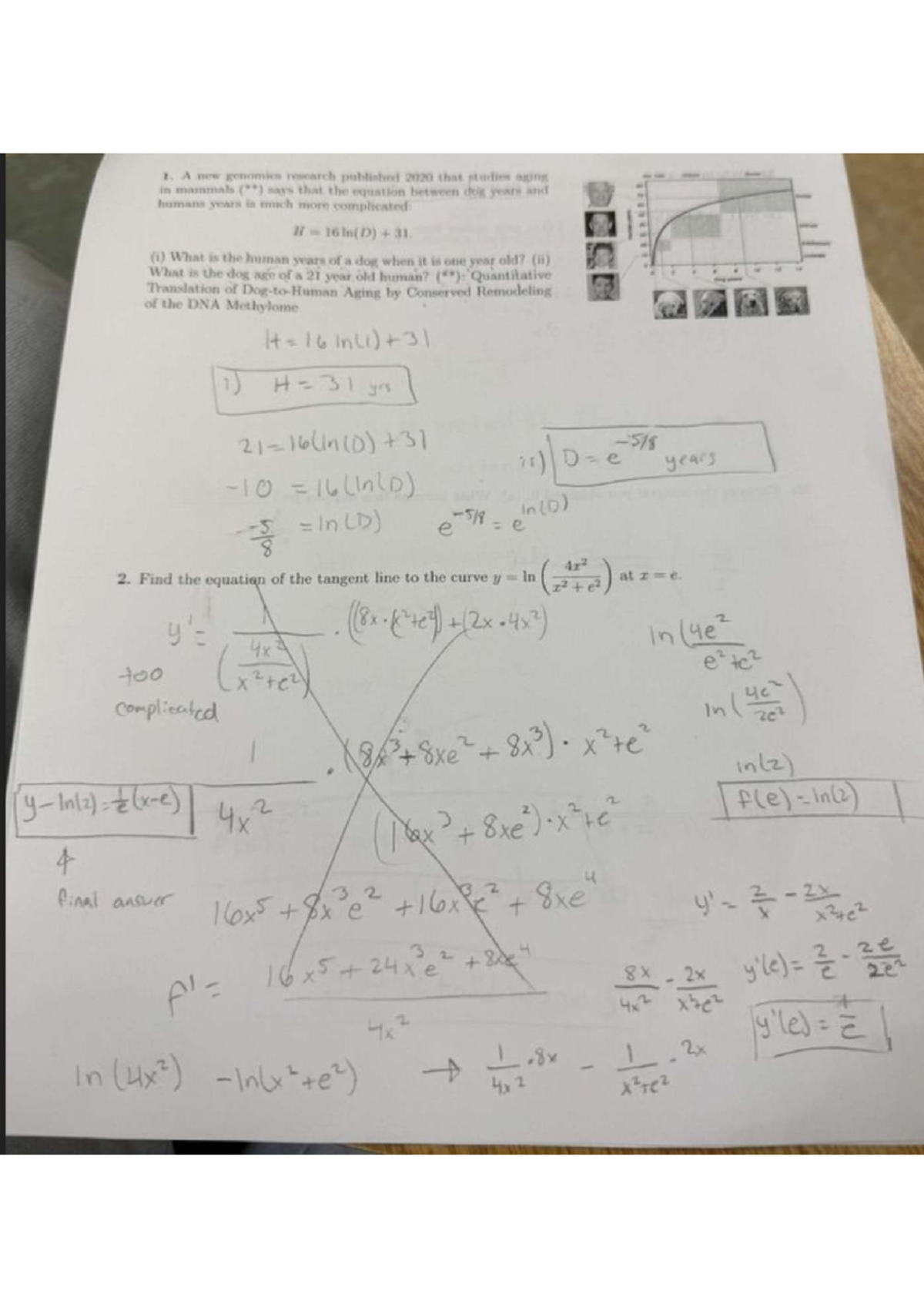 Genomics Research on Aging in Mammals: H 16ln(D) Equation Analysis ...