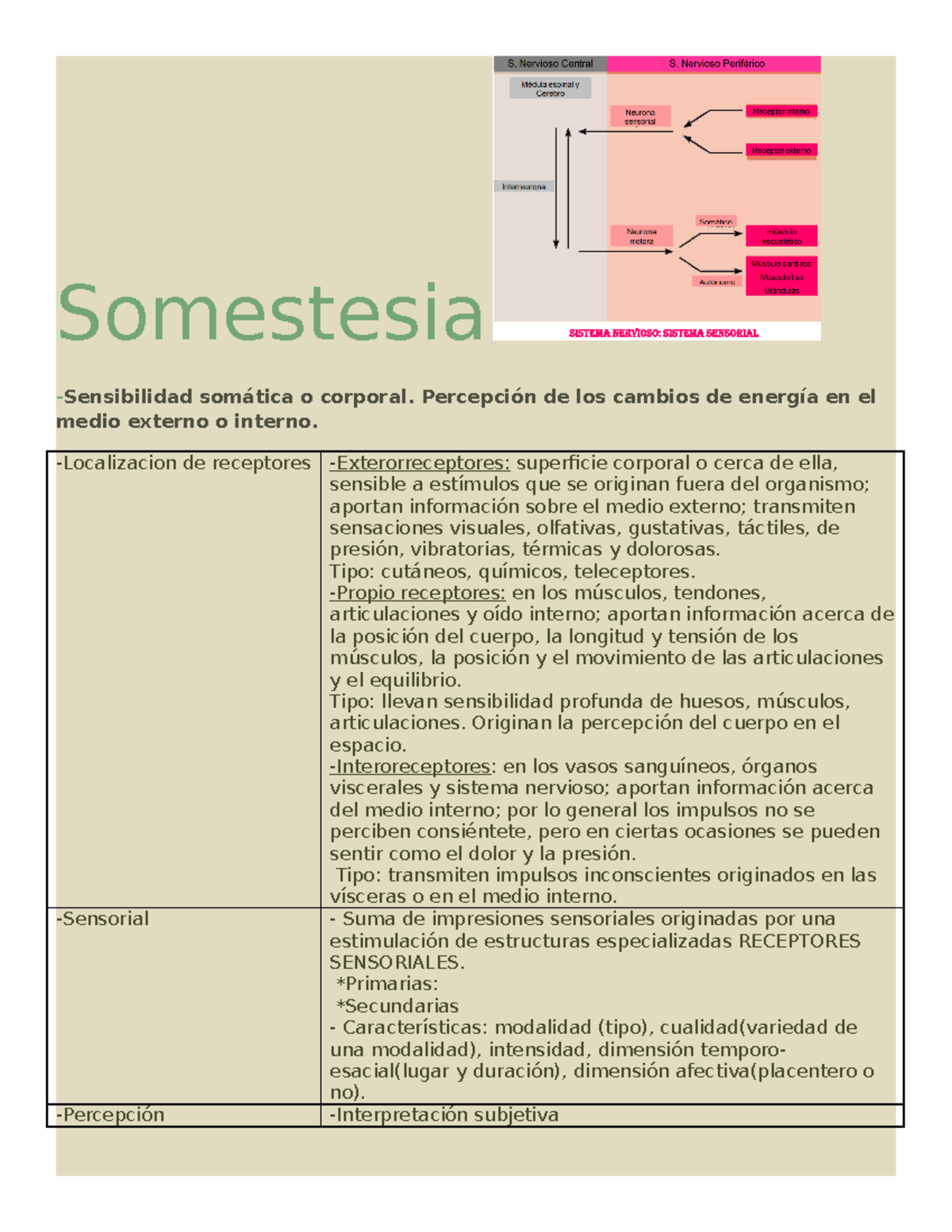sistema autonomo Somestesia - Somestesia - Sensibilidad somática o ...