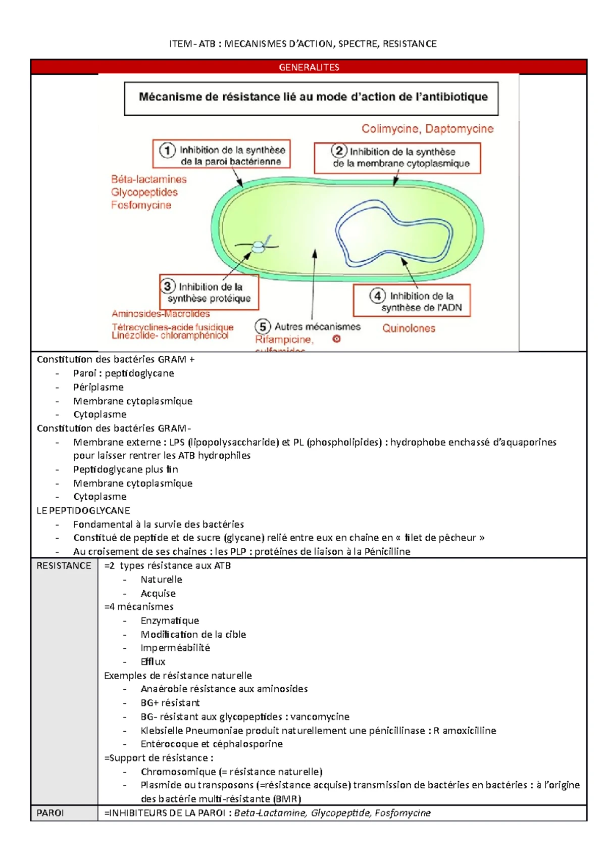les antibiotiques (résumé) - LES ANTIBIOTIQUES : Définition d’un ...