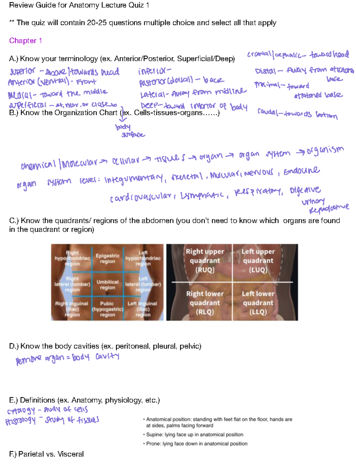 Anatomy Lecture Quiz 1 Review Guide (Course Code 101) - Studocu