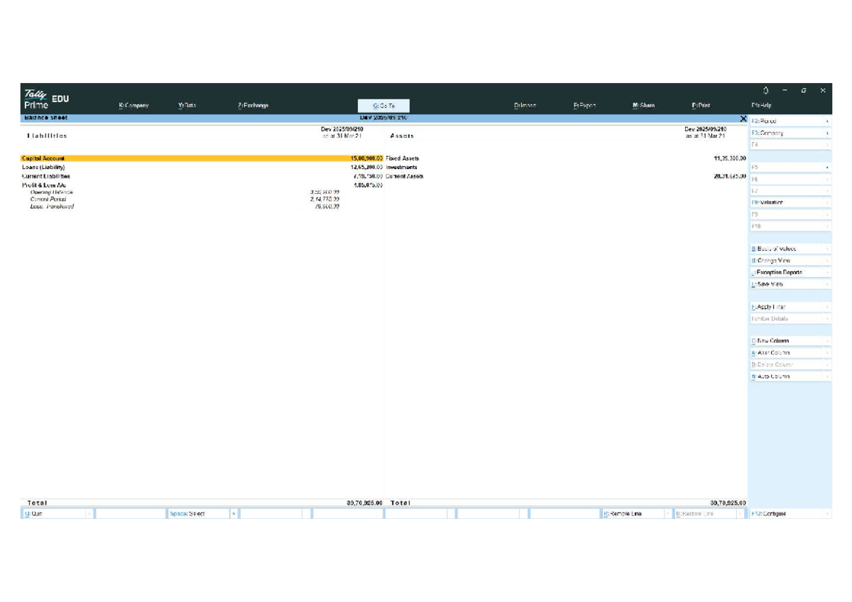 Tally EDU Prime K: Company Financial Statements Overview - Studocu