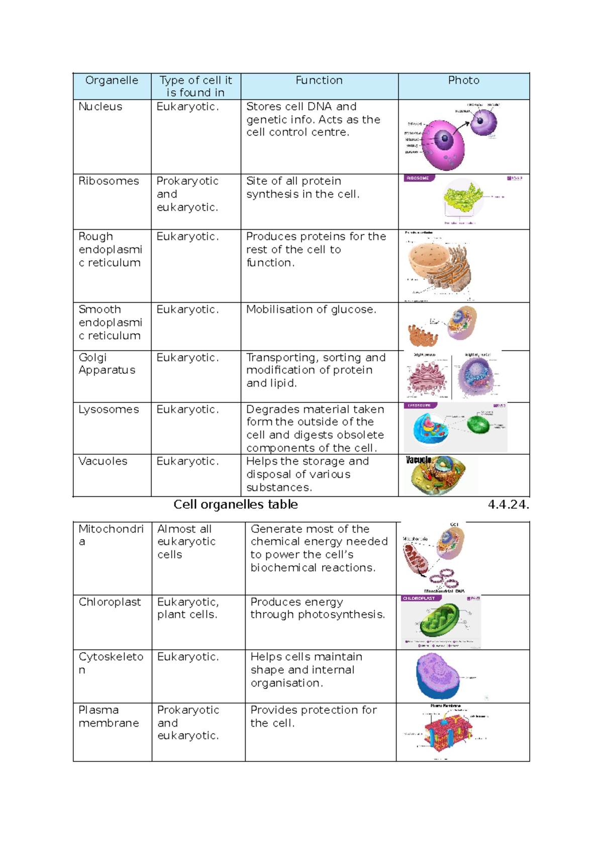 Cell organelles table - notes - Organelle Type of cell it is found in ...