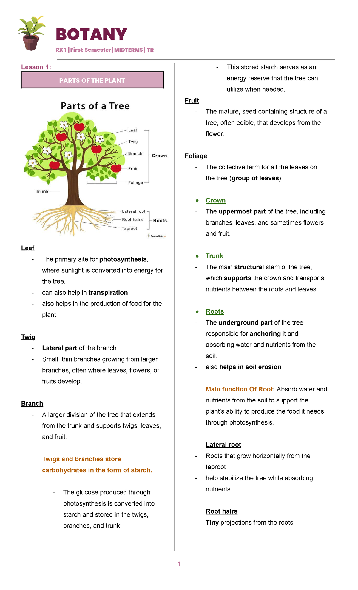 Botany — Midterm Review — Plant Structure and Functions — LAB 1 - Studocu