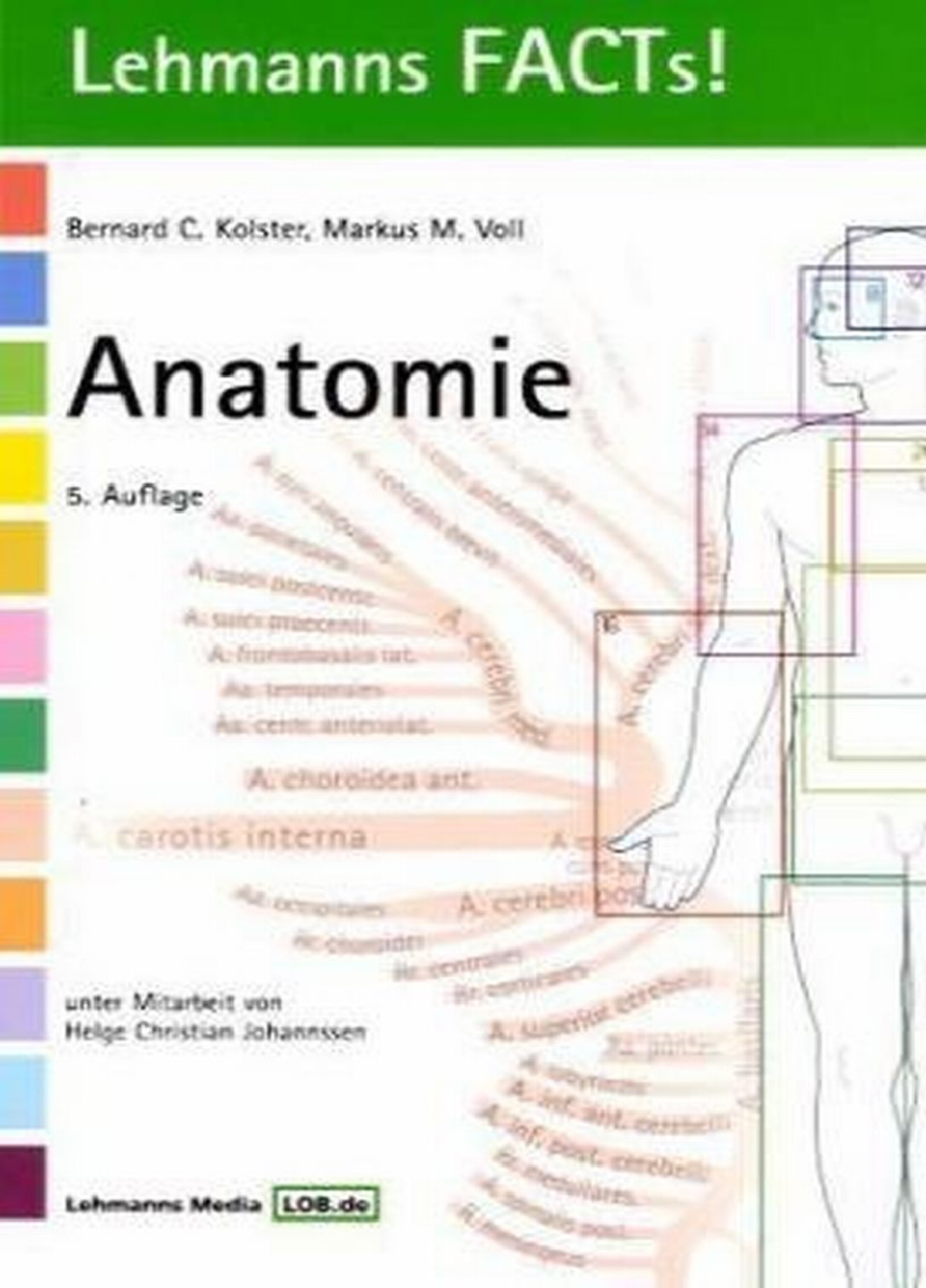 Anatomie der Arterien und Venen: Übersicht mit 43 Tabellen und 69 ...