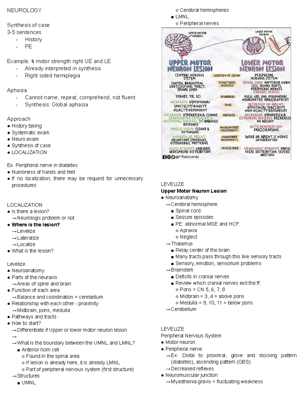Neurology (NEURO 101) Case Study Notes: Hemispheres & Nerve ...