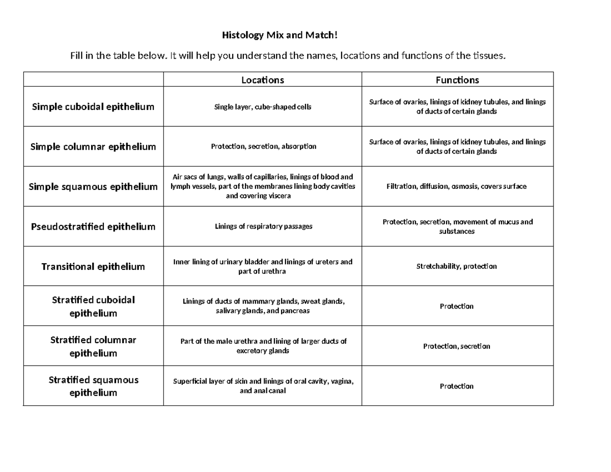 Histology Review Assignment - Histology Mix and Match! Fill in the ...