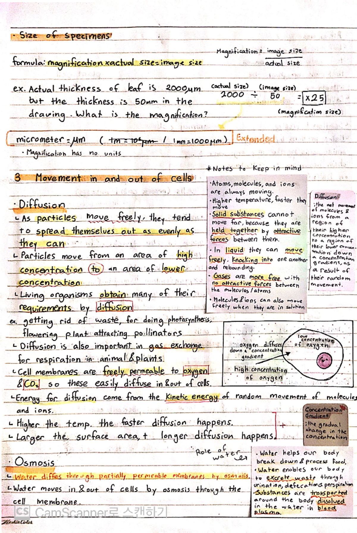 Chem 101: Unit 4 - Chemicals of Life Overview and Key Concepts - Studocu