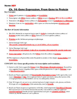 Ch.10 Key Meiosis - answer key - Name Mr. Key AP Biology Ch. 10 Meiosis ...