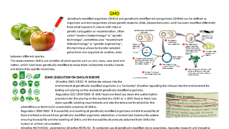 GMO 101: Understanding Genetically Modified Organisms and Their Impact ...